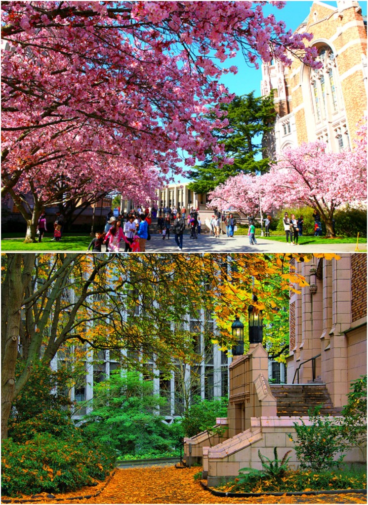Moving to the University of Washington - Moving Insider
