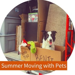 The Complete Guide to Moving in the Summer - Moving Insider